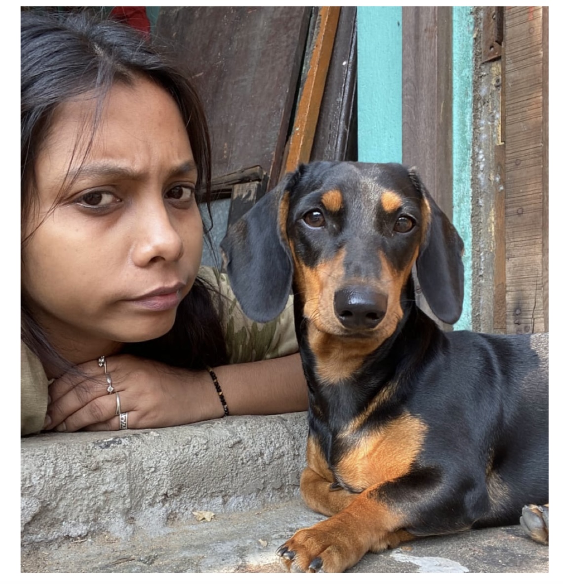 Pet Sitting Service at 15000 clearance month